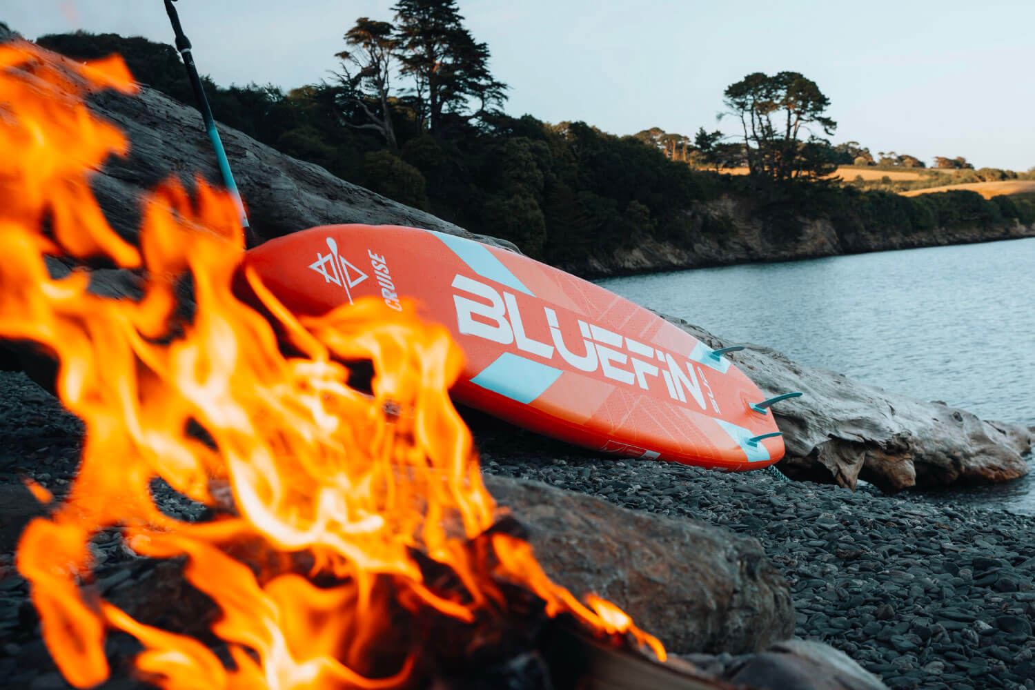 Sale – Bluefin SUP